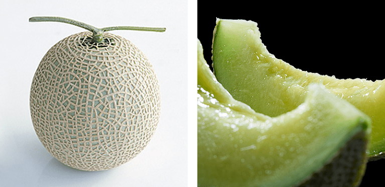 melon | うまいみさき御前崎